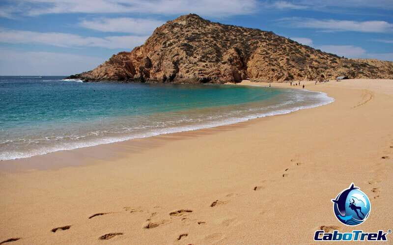 Cabo Ocean SAFARI - Key Points