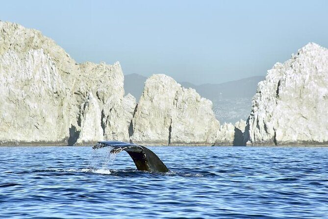 Cabo Private Transportation to Cabo - An Inside Look at Your Transfer Experience