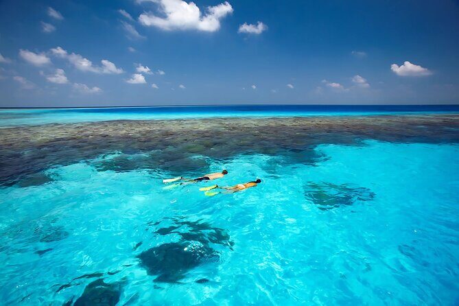 Cabo Private Yacht Cruise to El Arco with Snorkeling Adventure - Final Thoughts