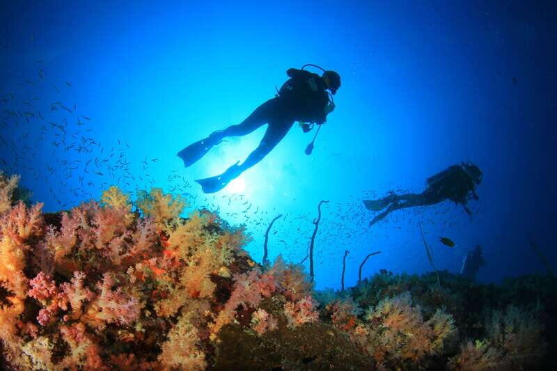 Cabo Pulmo Marine Park: Scuba Diving Excursion - Underwater Highlights: What You Can Expect