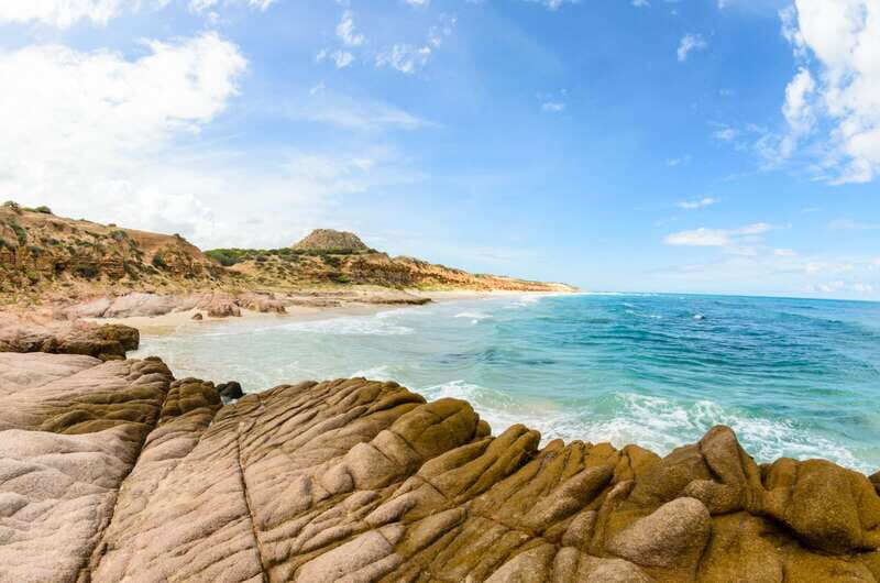 Cabo Pulmo Marine Park: Scuba Diving Excursion - The Dive Experience: Practical Considerations
