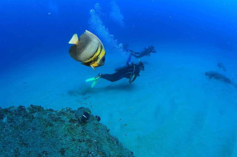 Cabo Pulmo Marine Park: Scuba Diving Excursion - Summing It Up: Is This Tour Worth It?