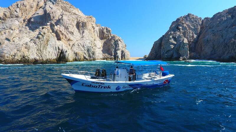 Cabo San Lucas: 2.5-Hour Whale Watching Tour - Practical Tips for Participants
