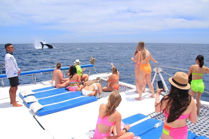 Cabo San Lucas All-Inclusive Private Catamaran Snorkeling Cruise - What makes this tour stand out?
