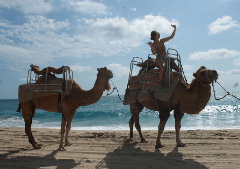 Cabo San Lucas: Amazing Camel Adventure on the Beach - A Closer Look at the Camel Adventure in Cabo