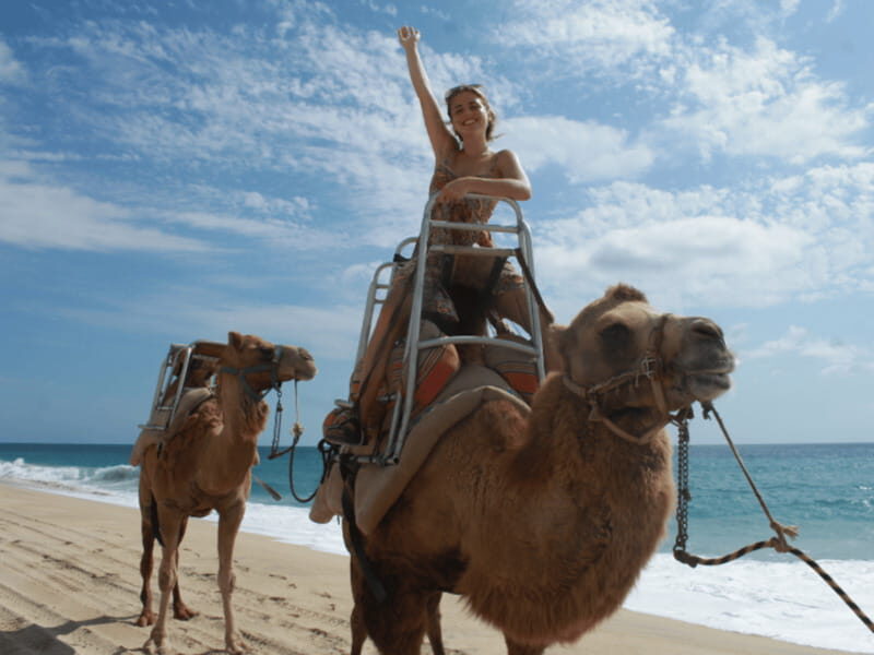 Cabo San Lucas: Amazing Camel Adventure on the Beach - Practical Tips for Participants