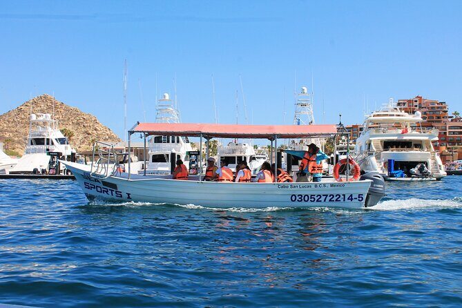 Cabo San Lucas Arc Group Tour in Glass Bottom Boat - Authentic Encounters & What Travelers Say