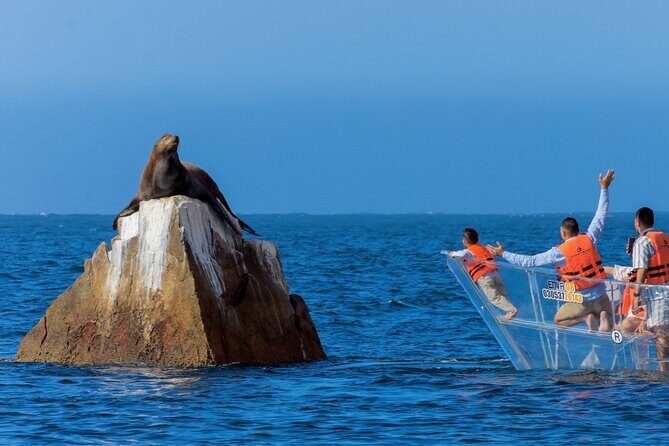Cabo San Lucas Arc Transparent Boat Tour - Discovering Cabo San Lucas from a Transparent Boat