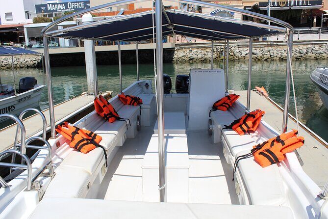 Cabo San Lucas Arch Private Boat Tour - Authentic Feedback: What Past Travelers Say