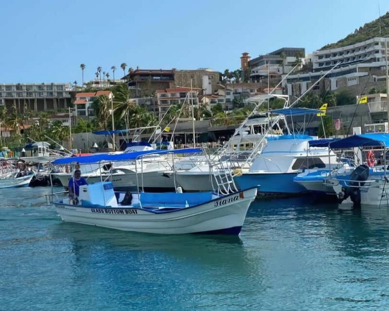 Cabo San Lucas: Arch Tour Glass Bottom Boat - Practical Details and Tips