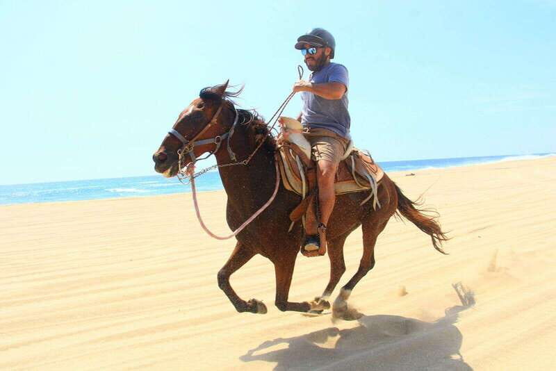 Cabo San Lucas: ATV/Camel/Horse Combo Tour - Detailed Review of the Cabo San Lucas Combo Tour