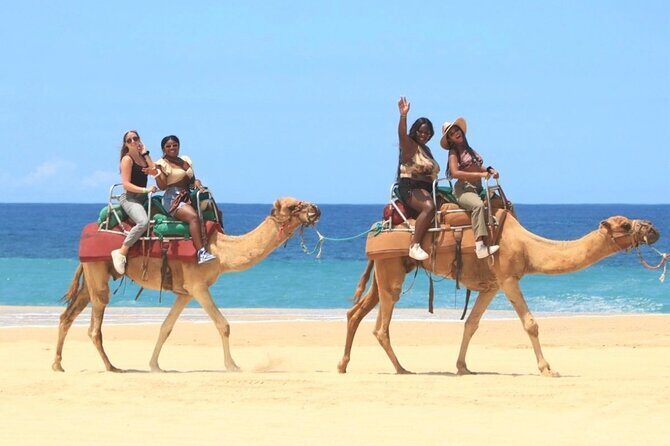 Cabo San Lucas ATV Combo - What Is the Cabo San Lucas ATV Combo?