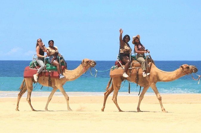 Cabo San Lucas ATV Combo - The Value Proposition