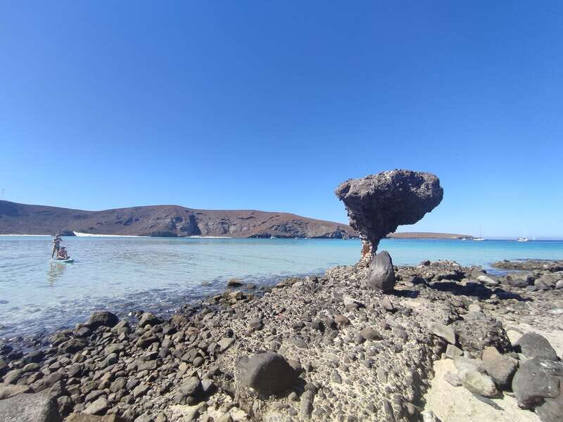 Cabo San Lucas: Balandra Beach and City Tour - Detailed Review of the Tour Experience