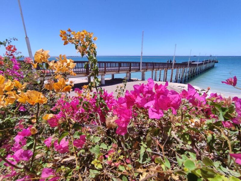 Cabo San Lucas: Balandra Beach and City Tour - FAQ