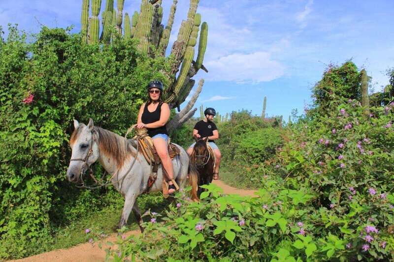 Cabo San Lucas: Beach & Desert Horseback Riding Tour - The Sum Up