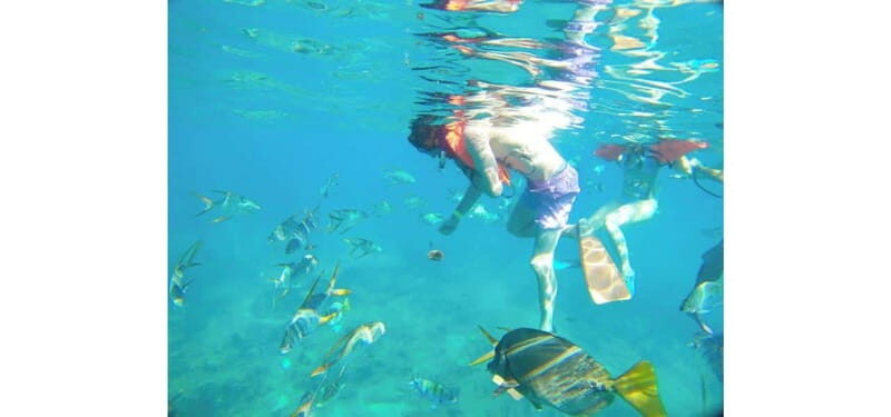 Cabo San Lucas: Beach Hopper Small-Group Snorkeling Tour - Who Should Consider This Tour?