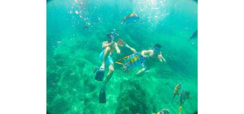 Cabo San Lucas: Beach Hopper Small-Group Snorkeling Tour - Frequently Asked Questions
