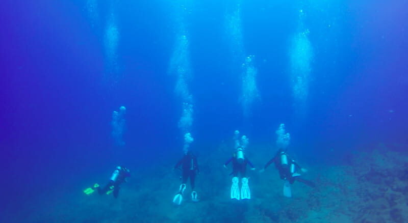 Cabo San Lucas: Beginners Diving Experience w/ Water & Snack - Frequently Asked Questions