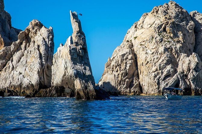 Cabo San Lucas Boat Tour - Practical Tips for Travelers