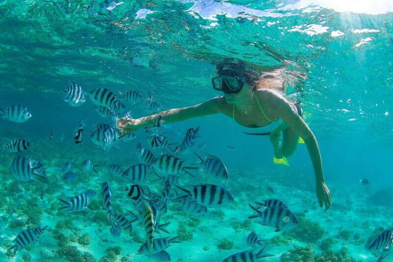 Cabo San Lucas: Cabo Pulmo Snorkeling Expedition - The Scenic Drive and Setting