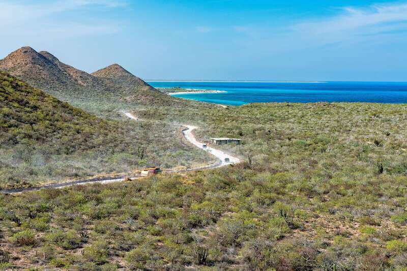 Cabo San Lucas: Cabo Pulmo Snorkeling Expedition - Authentic Experiences and Real Talk