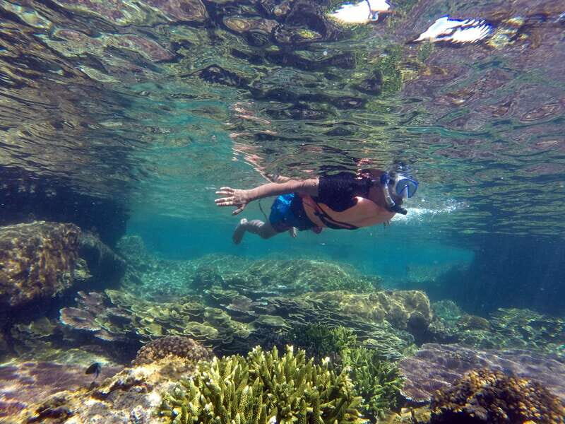 Cabo San Lucas: Cabo Pulmo Snorkeling Expedition - FAQ