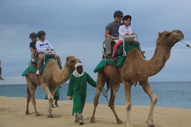 Cabo San Lucas Camel Ride and Encounter on Beach and Desert - What Are the Downsides?