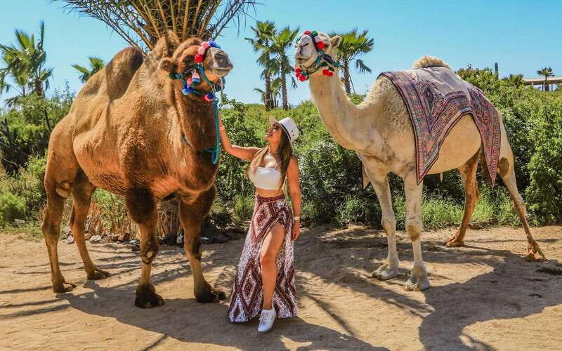 Cabo San Lucas: Camel Ride & Off-Road UTV Combo Adventure - Key Points