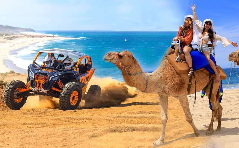 Cabo San Lucas: Camel Ride & Off-Road UTV Combo Adventure - An Overview of the Experience