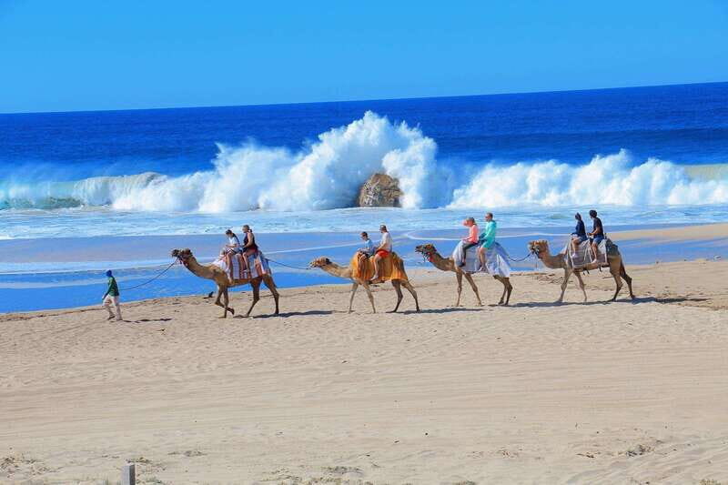 Cabo San Lucas: Camel Ride & Off-Road UTV Combo Adventure - The Value and Cost
