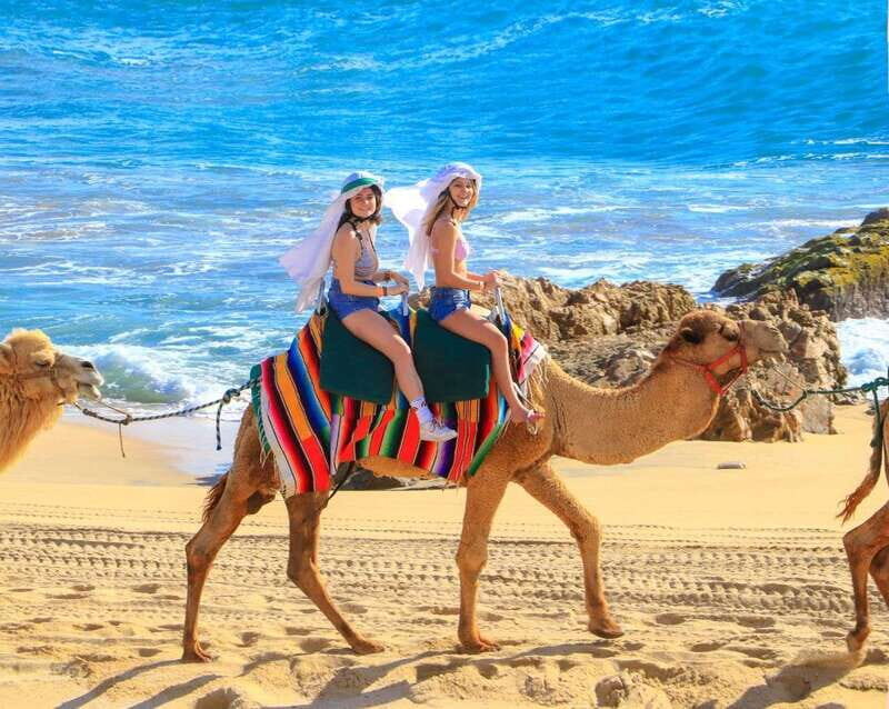 Cabo San Lucas: Camel Ride & Off-Road UTV Combo Adventure - Who Will Appreciate This Tour?