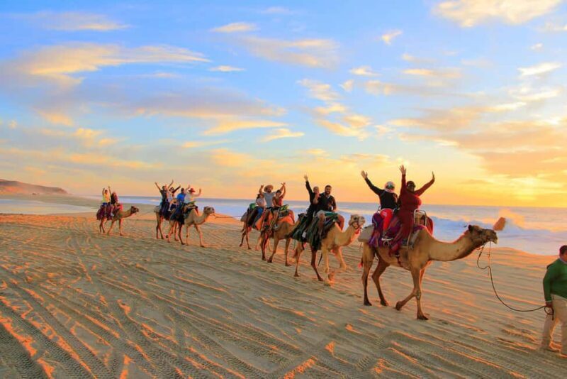 Cabo San Lucas: Camel Ride on the Beach - A Practical Look at the Camel Ride on the Beach Tour