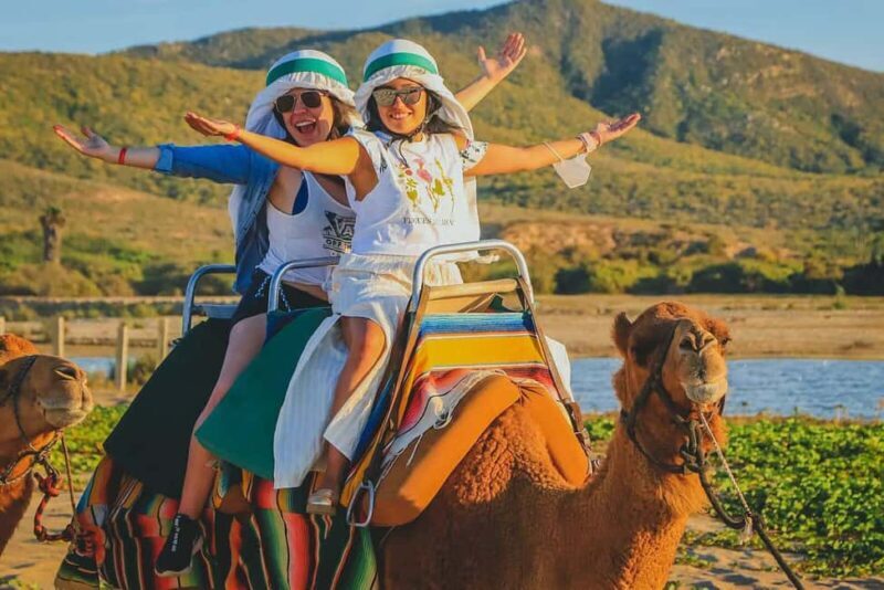 Cabo San Lucas: Camel Ride on the Beach - The Sum Up