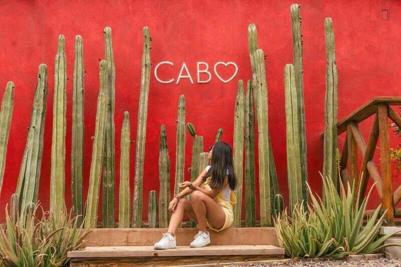 Cabo San Lucas: Camel Safari Tour with Lunch and Tequila - Key Points