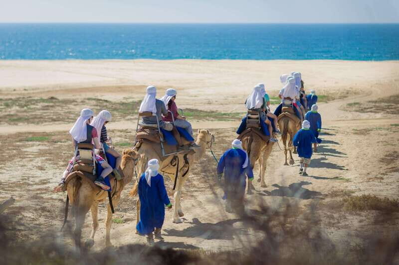 Cabo San Lucas: Camel Safari Tour with Lunch and Tequila - What to Expect from the Tour