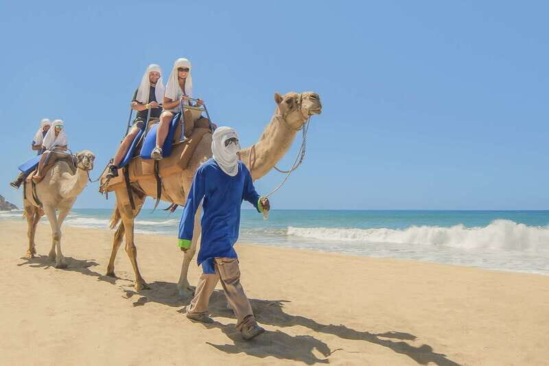 Cabo San Lucas: Camel Safari Tour with Lunch and Tequila - The Authenticity and Value