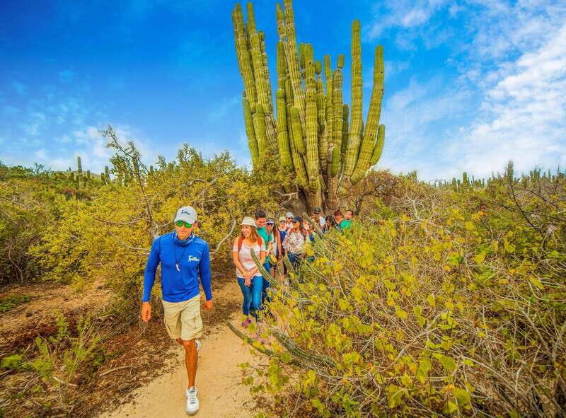 Cabo San Lucas: Camel Safari Tour with Lunch and Tequila - Who Should Consider This Tour?
