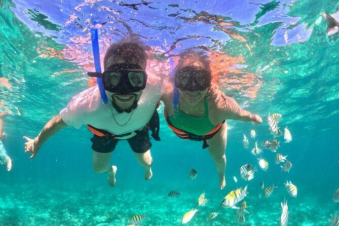 Cabo San Lucas Catamaran: Snorkel, Open Bar & Scenic Cruise - Key Points