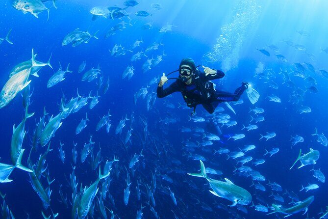 Cabo San Lucas Certified 2 Tank Dive at the Famous Arch and Land's End - Authentic Perspectives from Past Travelers