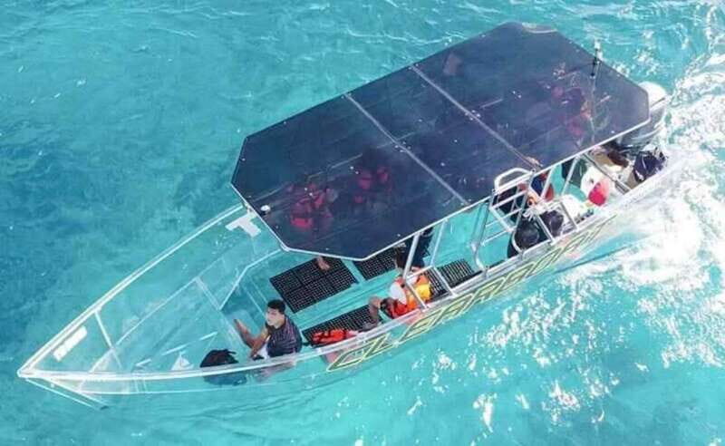 Cabo San Lucas: Clear Boat Tour - An Honest Look at the Glass-Bottom Boat Experience