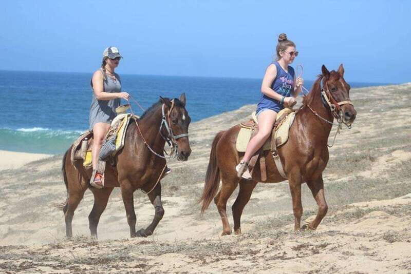 Cabo San Lucas: Desert ATV & Beach Horseback Combo - An Inside Look at the Experience