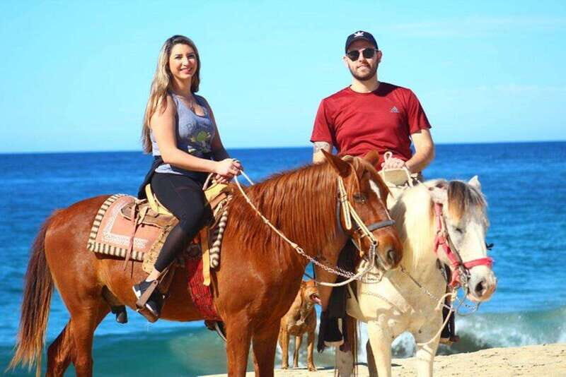Cabo San Lucas: Desert ATV & Beach Horseback Combo - Final Thoughts: Who Should Consider This Tour?