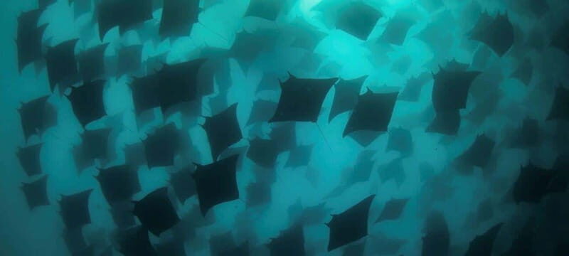 Cabo San Lucas: Discover Scuba Diving Experience - Practical Tips for Your Dive Day