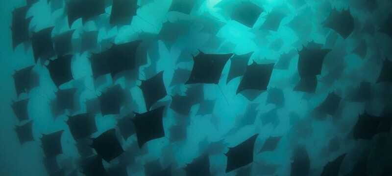 Cabo San Lucas: Discover Scuba Diving Experience - Final Thoughts