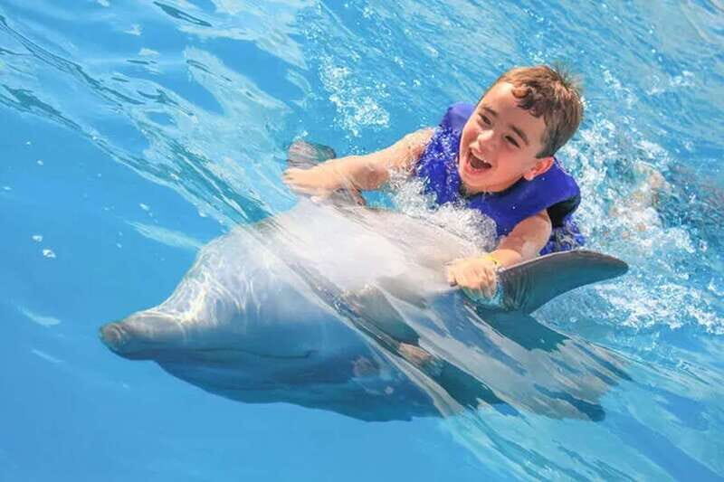 Cabo San Lucas: Dolphin Swim Class with Marine Specialist - What You Can Expect from the Tour