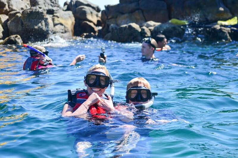 Cabo San Lucas: Guided Snorkeling Tour with Transportation - Why This Tour Is a Great Choice