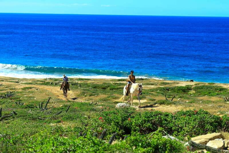 Cabo San Lucas: Horseback Riding in Migriño with Transfers - What We Loved and What to Consider