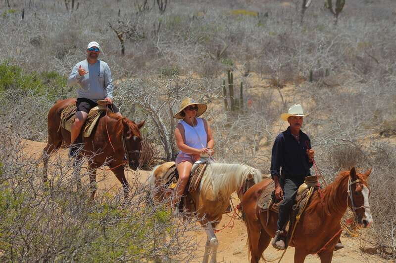 Cabo San Lucas: Horseback Riding in Migriño with Transfers - FAQs About the Horseback Riding in Migriño Tour