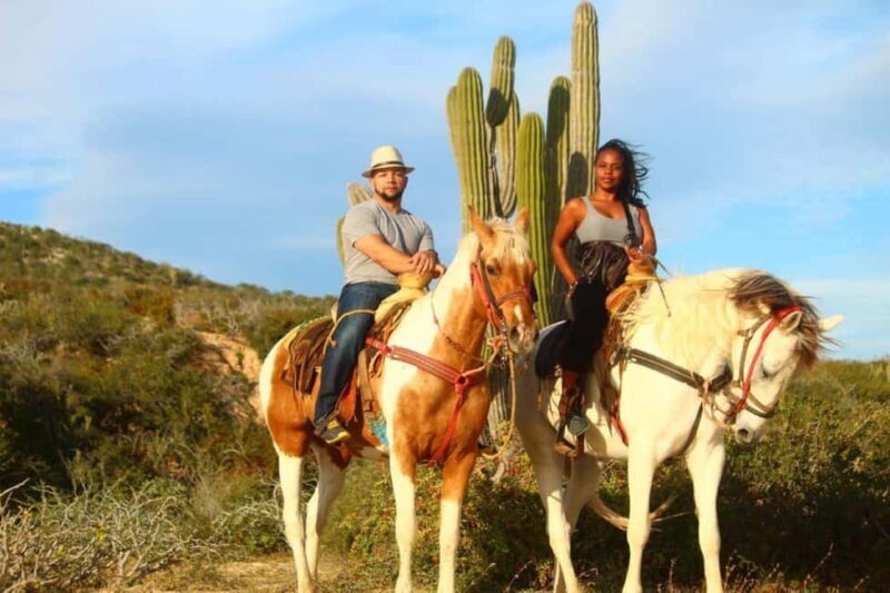 Cabo San Lucas: Horseback Riding on the Beach Experience - Key Points